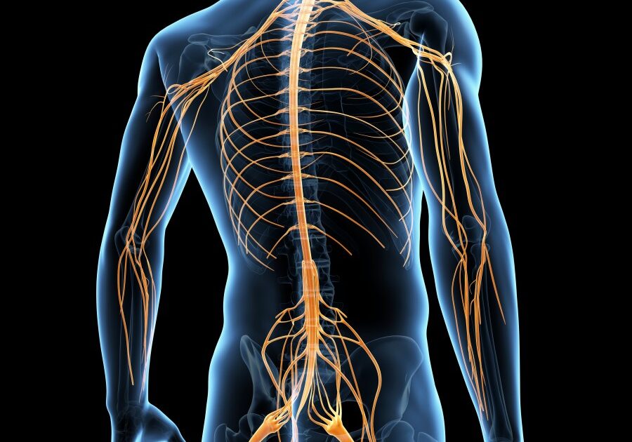 In Friedreich's Ataxia, Eye Movement and Skeletal Abnormalities Found ...