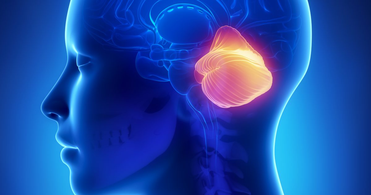Structural and Functional Abnormalities in The Cerebellum of Ataxia ...