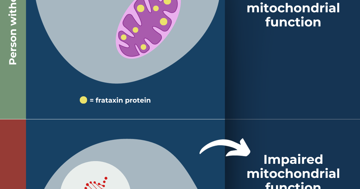 What is Friedreich's ataxia? | Friedreich's Ataxia News
