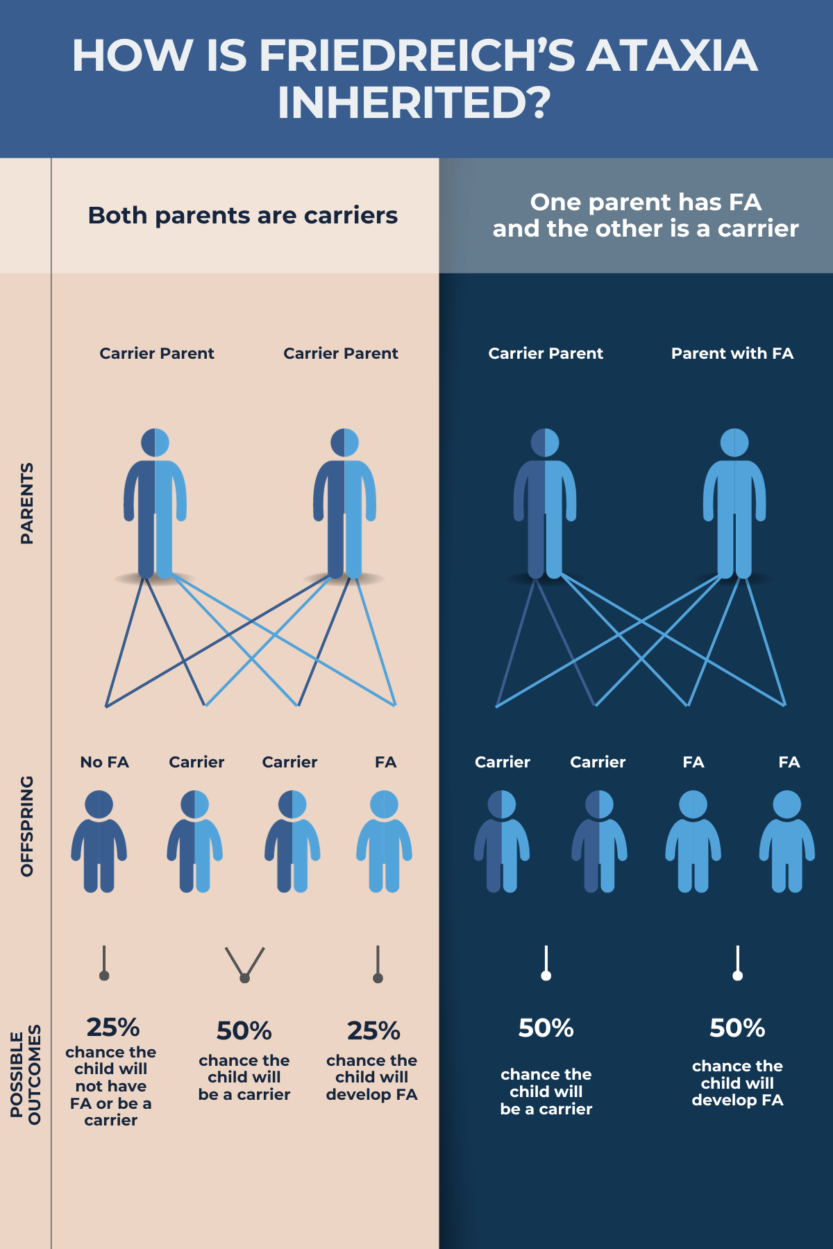 Friedreich’s ataxia causes and risk factors | Friedreich's Ataxia News